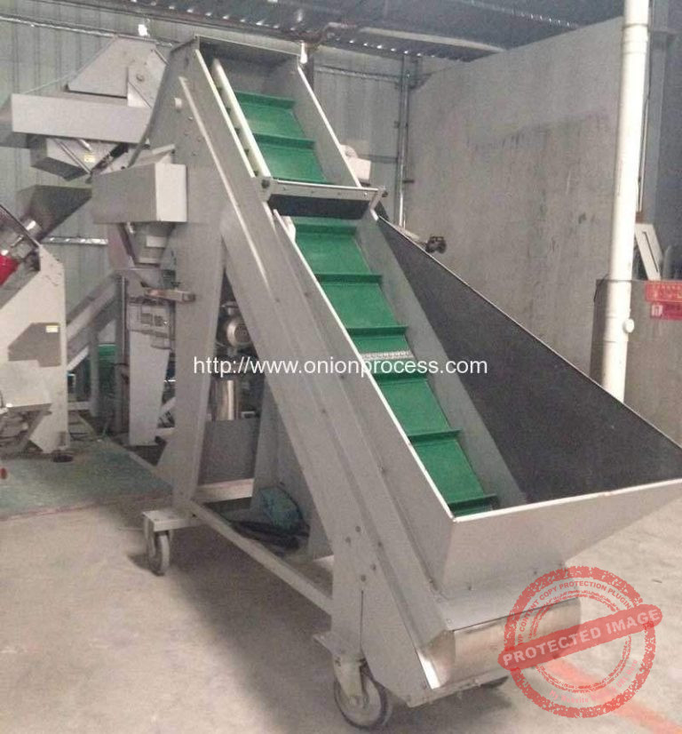 Automatic Onion Weighting Mesh Bag Packing Machine | Onion Peeling ...