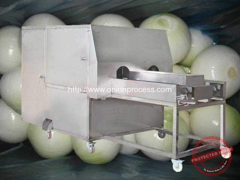 Double Belt Onion Root Cutting Machine | Onion Peeling Machine, Onion ...