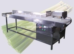 Spring Green Onion Root and Leaf Cutting Machine | Onion Peeling ...