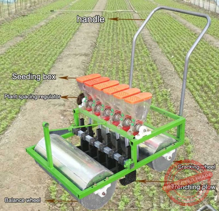 Manual Type Onion Seeds Planter Machine | Onion Peeling Machine, Onion ...