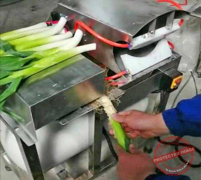 Automatic Spring Onion Peeling Cleaning Machine | Romiter Group | Your ...