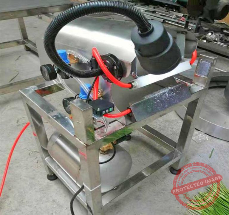 Automatic Spring Onion Peeling Machine with Root Cutting | Onion ...