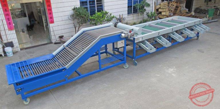 Big Feeding Hopper Onion Size Grading Machine | Onion Peeling Machine ...
